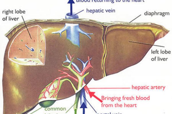 Prirodni recept za čišćenje jetre | Novi.ba