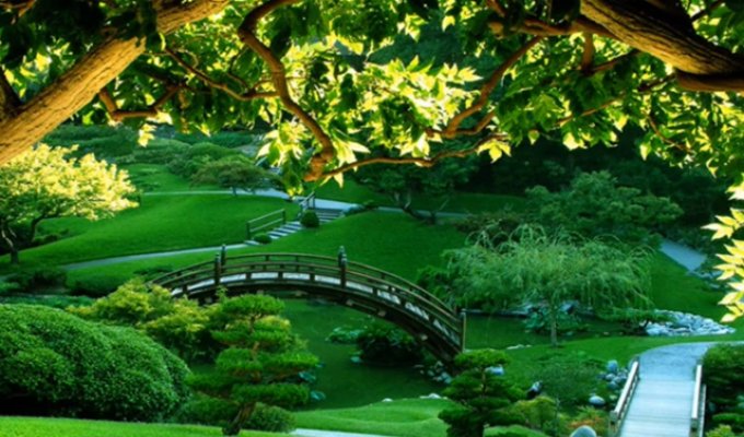 Odmor za oči i dušu: Prelijepe fotografije zelene prirode | novi.ba