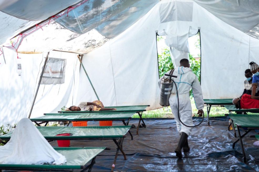 EPIDEMIJA PAPAGAJSKE GROZNICE ŠIRI SE PO EVROPI: Pogođeno je nekoliko ...